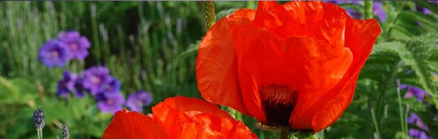 Contact & Find us | Uplands House near Banbury